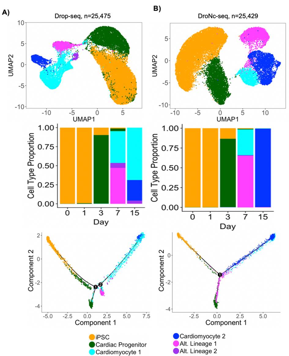 Human Cell Atlas: Comparison, calibration, and benchmarking single cell RNA-seq techniques ...
