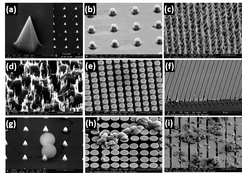 Integrated Silicon Nano-chip/Microfluidics Platform for Microbial ...